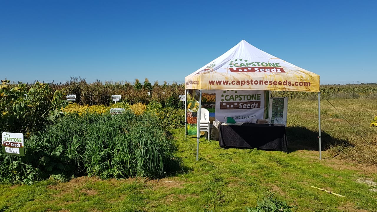 Nampo 2019 - Flags are flying high!