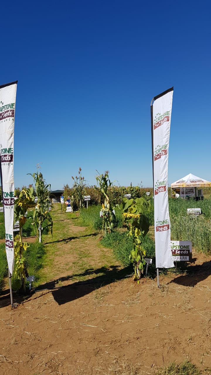 Nampo 2019 - Flags are flying high!