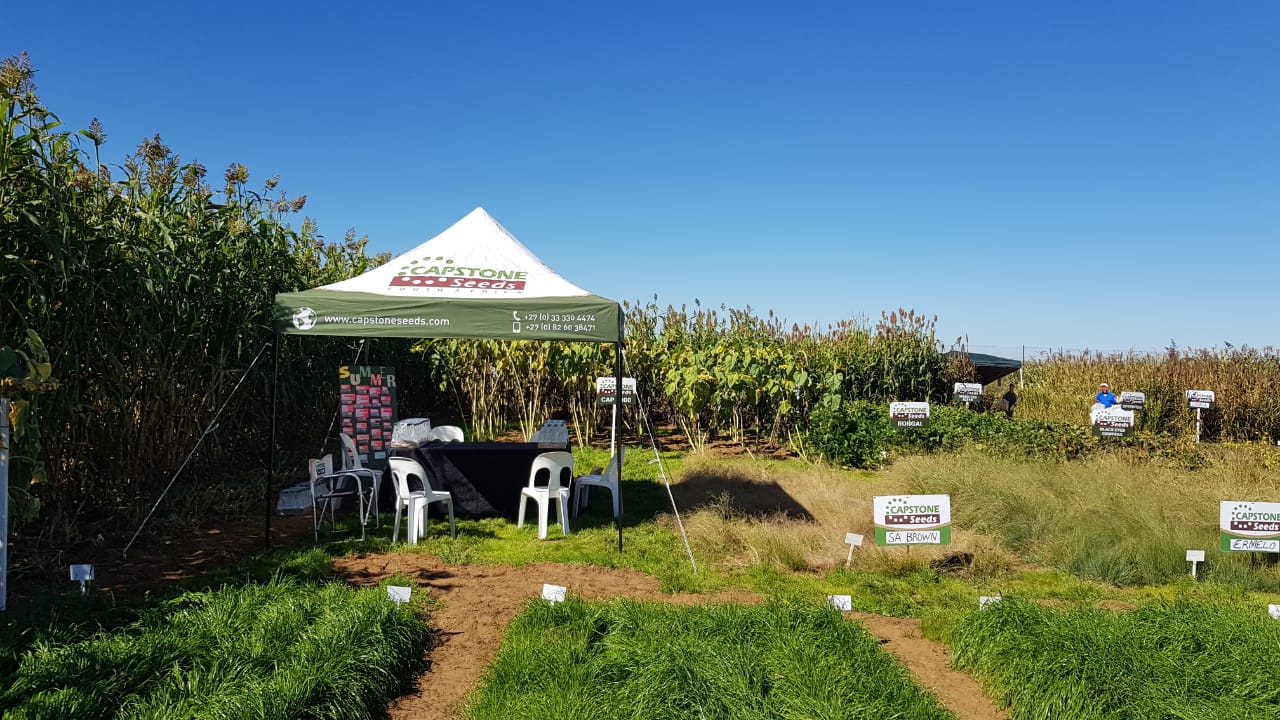 Nampo 2019 - Flags are flying high!