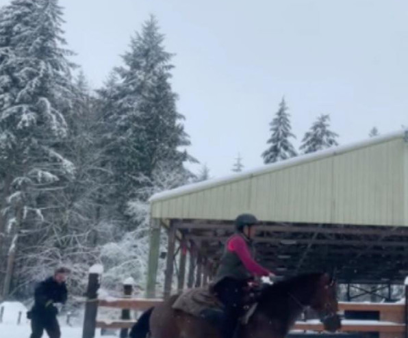 Home | North Harbor Equestrian Center