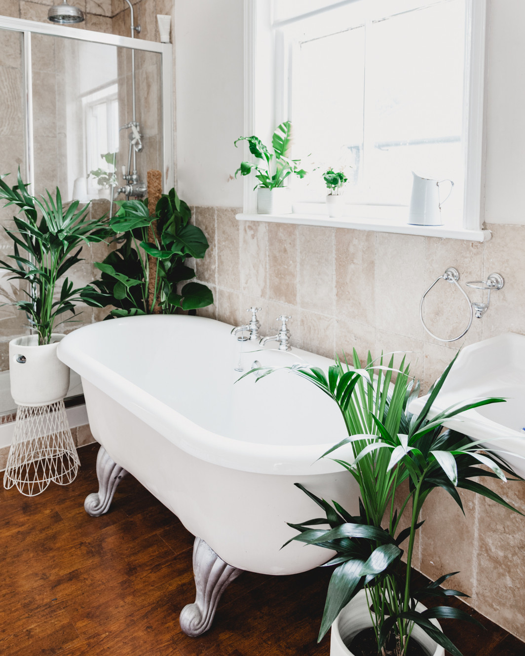 Plants For Bathrooms plants-for-bathrooms