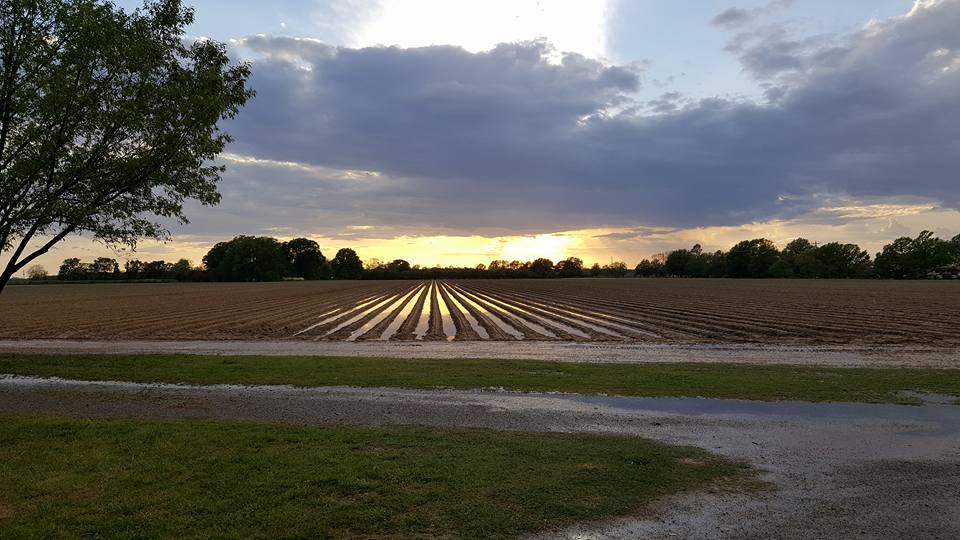 Visit our garden decor store we are expanding our selection!