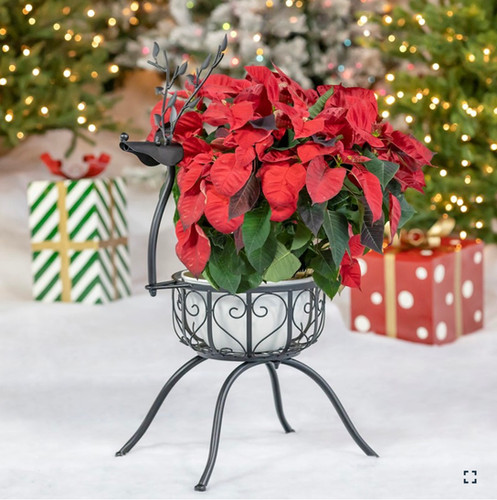 Iron Reindeer Planter | Hunnicutt Outdoor Living