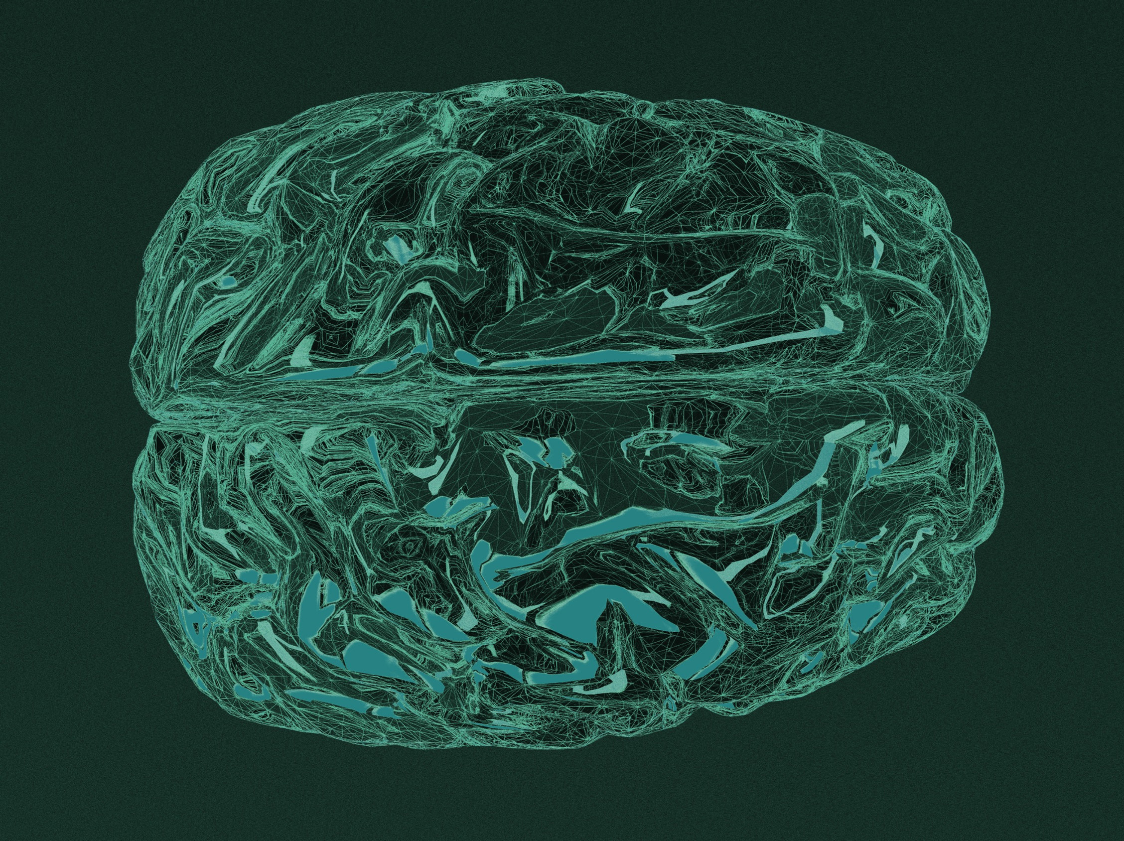 BSP Phase 1 ONLINE March 2026 | BSP Training Hub