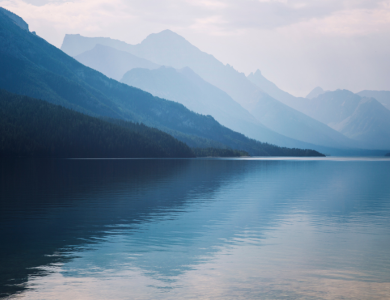 IN THE MIDST OF CHAOS, CONFUSION AND OPPRESSION