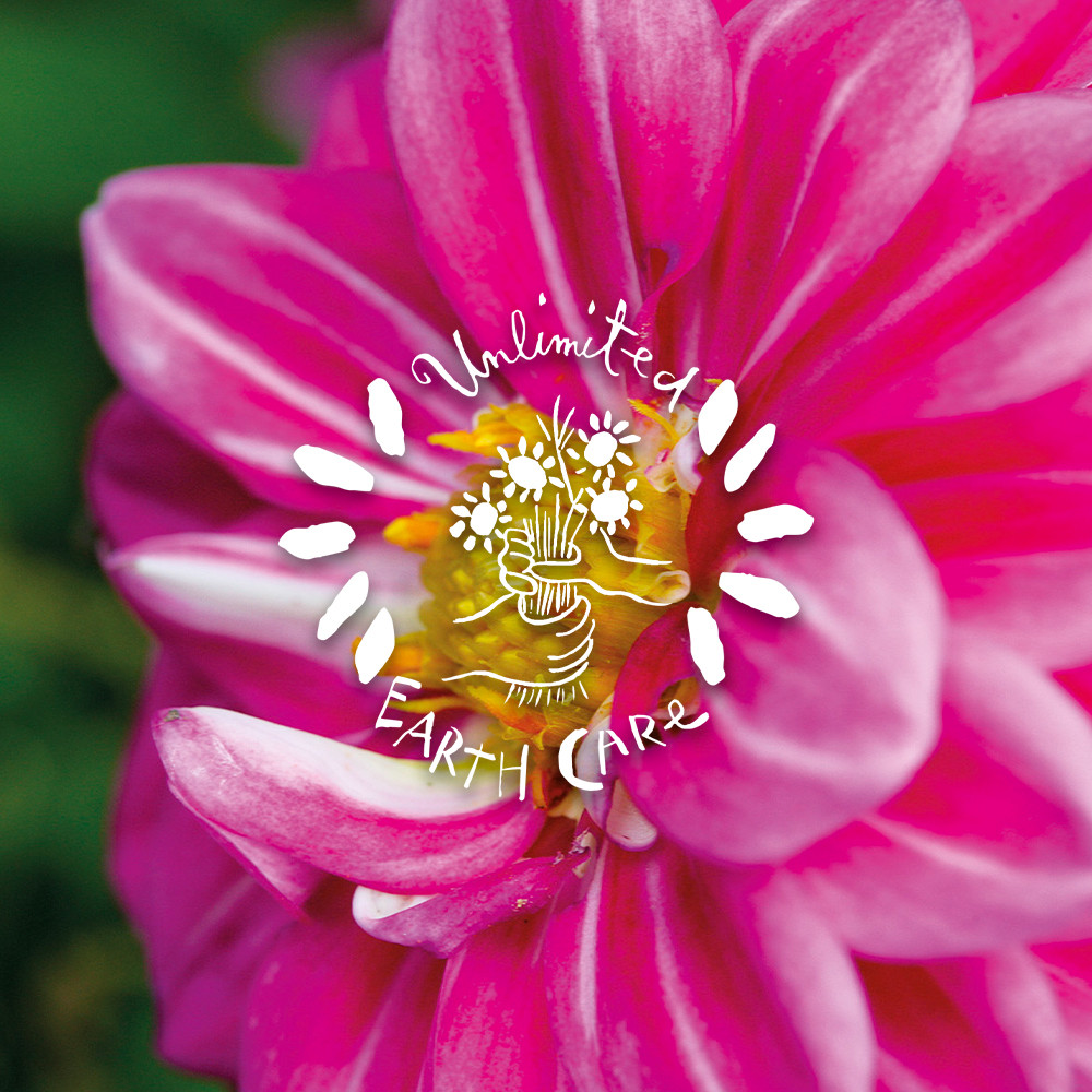 Our Vision | Unlimited Earth Care