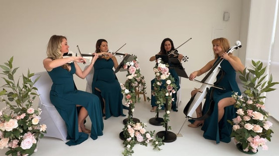 Audio | Video | EmilyBurakMusic