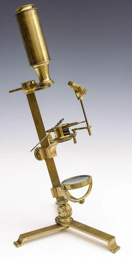 Most Improved | microscope history