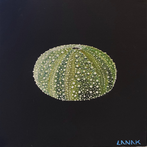 NZ Kina Shell - Open Edition print | Lanak