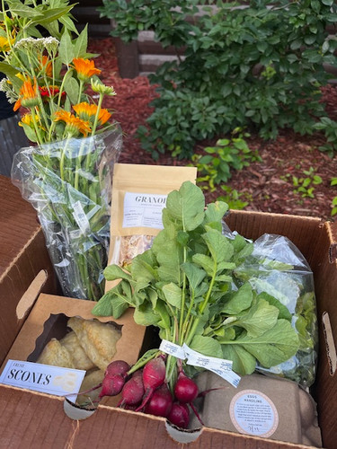 Half Share CSA Farm Boxes | Treeline Acres
