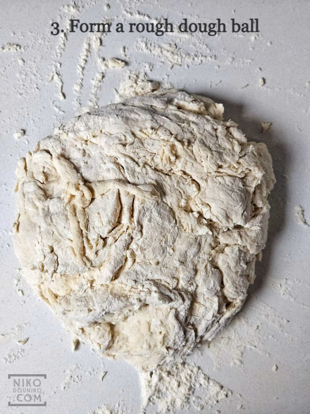 How to make Restaurant Grade Neapolitan Pizza Dough at Home (for ...