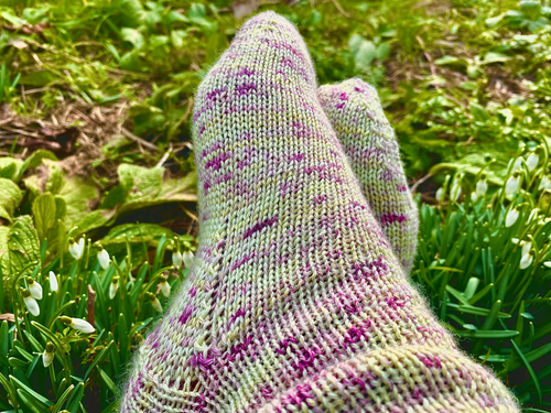 Springtime Socks Knitting Pattern Physical Copy | Wild Woolers