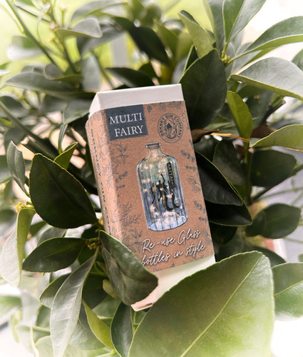 Twinkle Bottle Rechargeable Lights Kit | Orkneygin