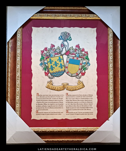 Cuadro heráldico 2 Apellidos en lámina modelo vertical( marco rojo y ...