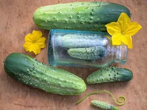 8 Weeks Family Vegetable CSA Share | redcloverfarms