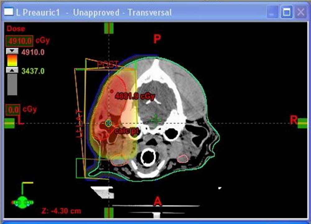 Radiation Therapy for Pets