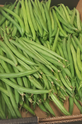 Bubble Beans | asiaticmanila