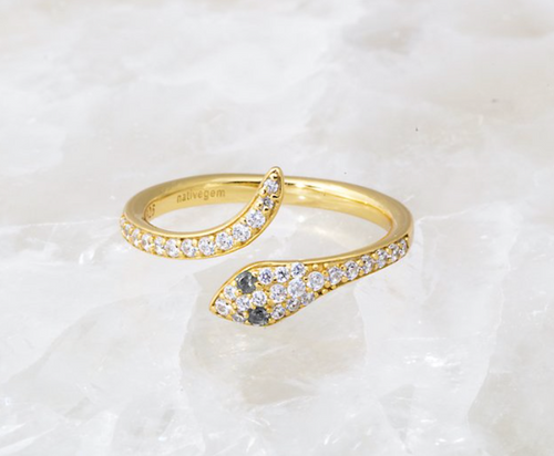 Snake Charmer Ring | Little Blue Boutique