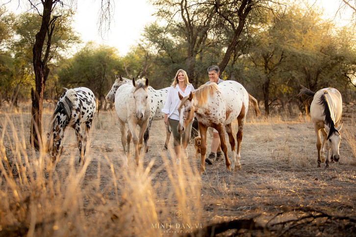 Gallery | josephsdreamstud