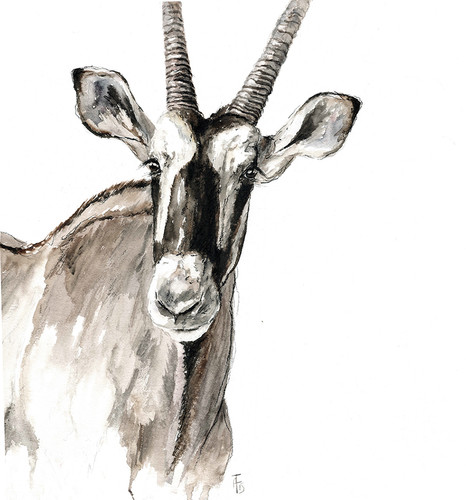 "the oryx lady" - original watercolour painting | annikafunke