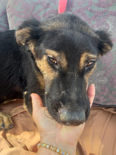 Shadow | Bethlehem Shelter