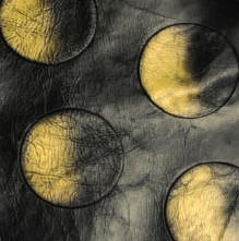 Products | New Wintex Fabrics Corporation