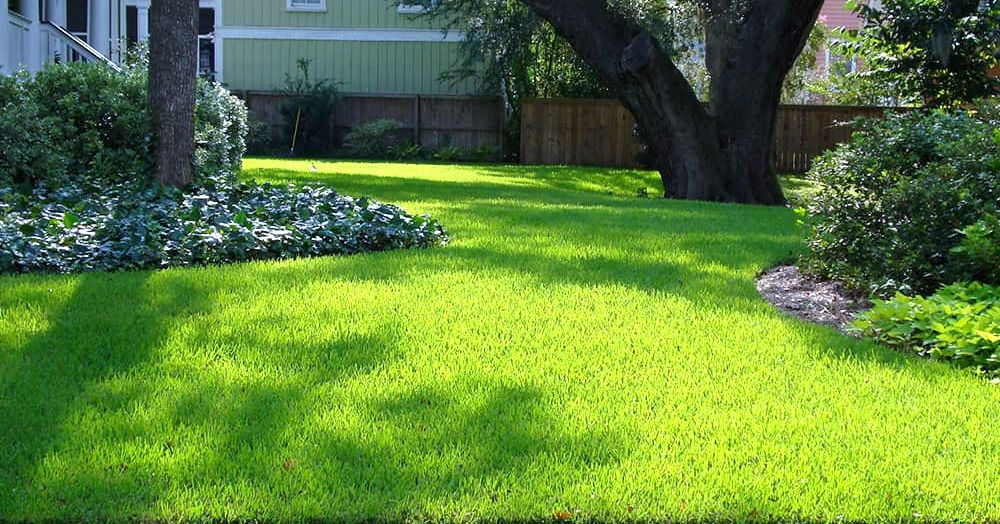 FLORATAM - FORT MYERS SOD - floriatam sod delivery and installation