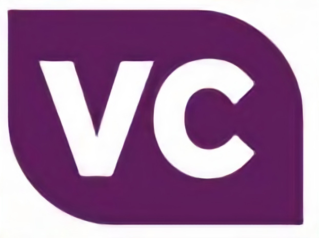 VC Consulting | Management