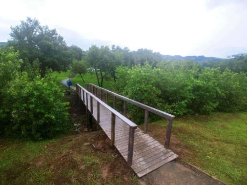 Eco-Friendly Recycled Green Plastic Garden Bridges | Green Furniture