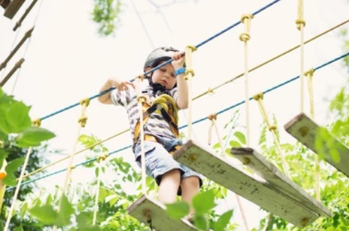 Hanging Steps Obstacle Course | Green Furniture