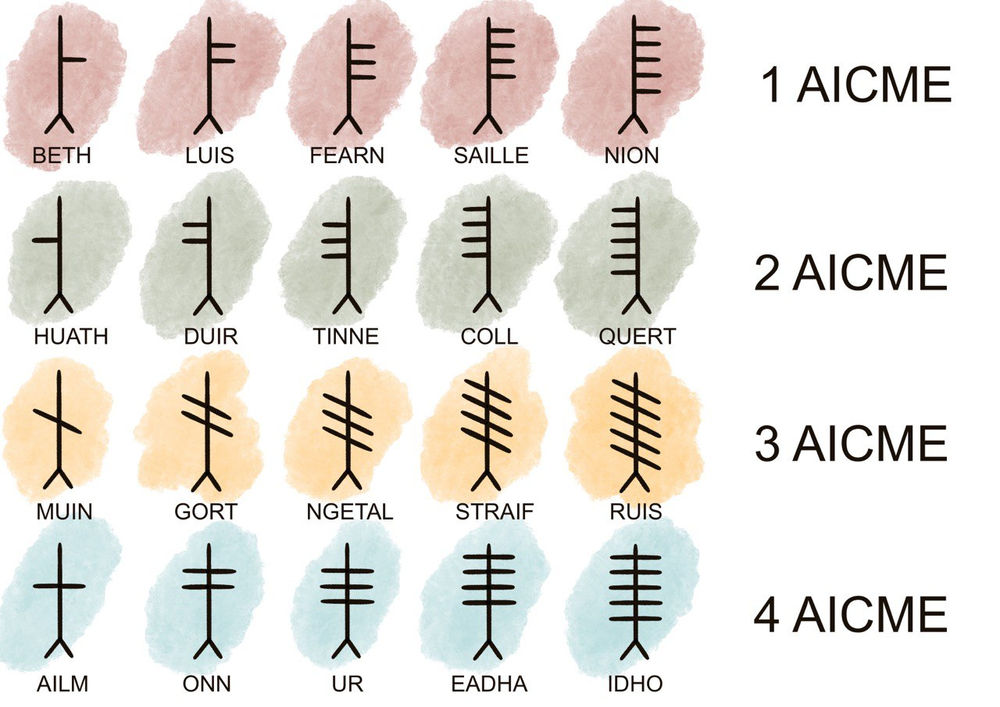 GLI OGHAM | Gli alberi sacri dei celti e l'alfabeto arboreo - La Via ...