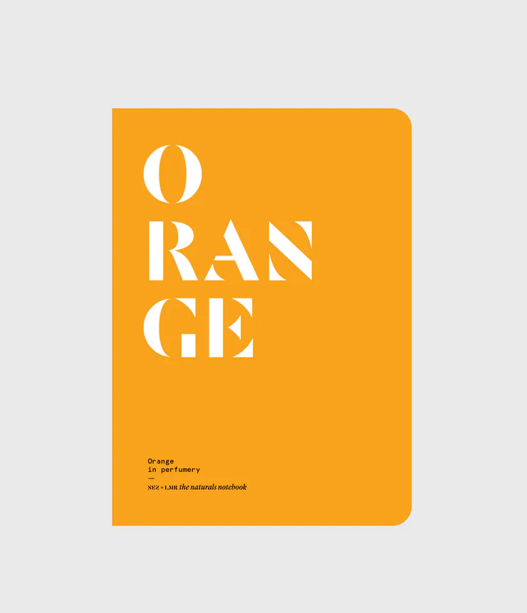 SHOP | Muse Experience