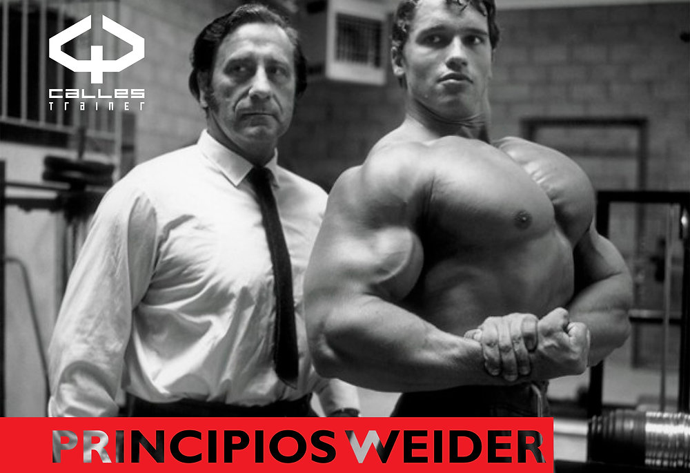 Principios Weider