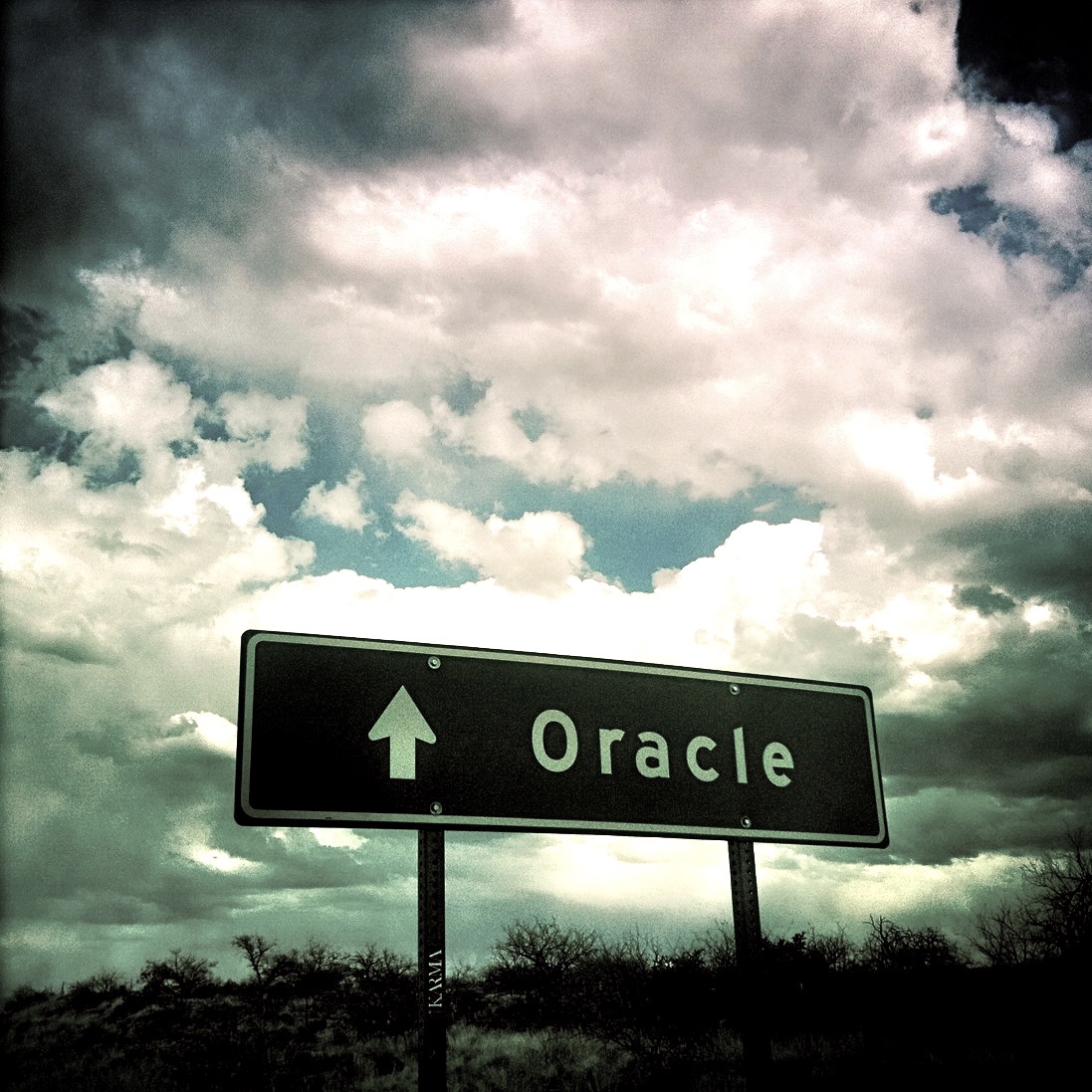 About Oracle | Oracle, Arizona | Triangle L Ranch