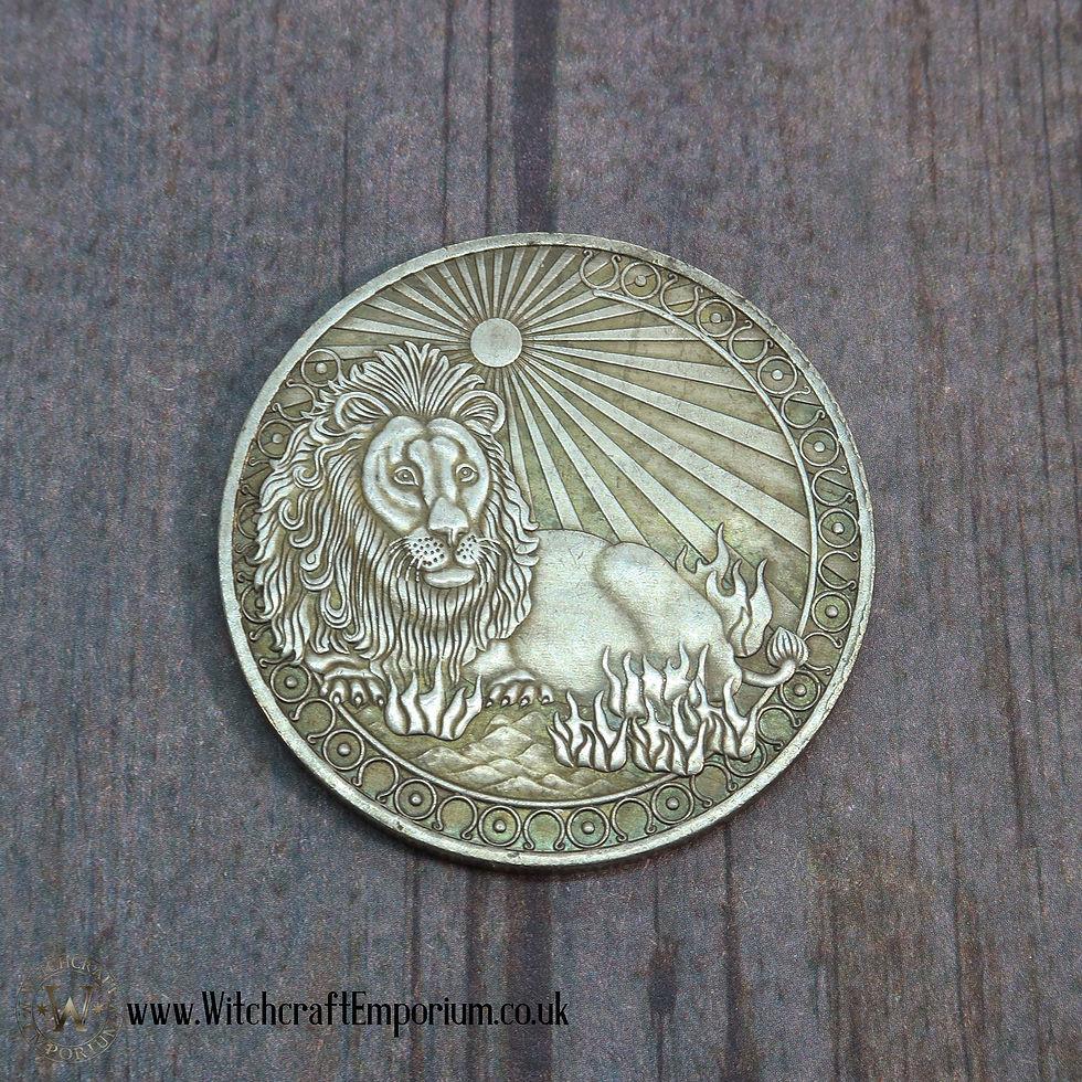 Leo - Zodiac Divination Coin | Witchcraft Emporium