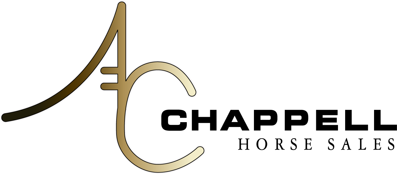 chappell horse sales | Collinsville | texas | alan | allison | alli