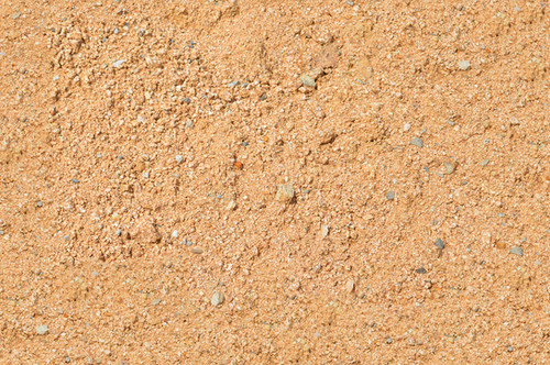 Chapel Hill Grit | American Landscape