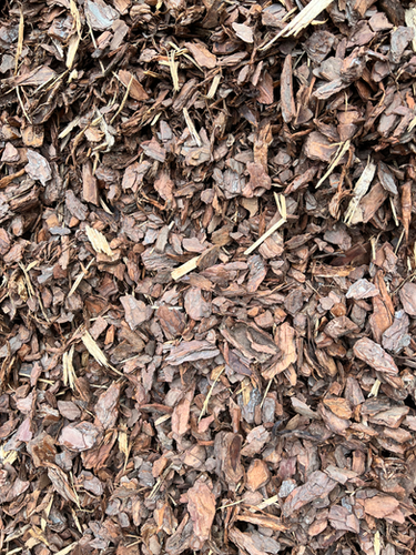 Mini Nuggets | American Landscape