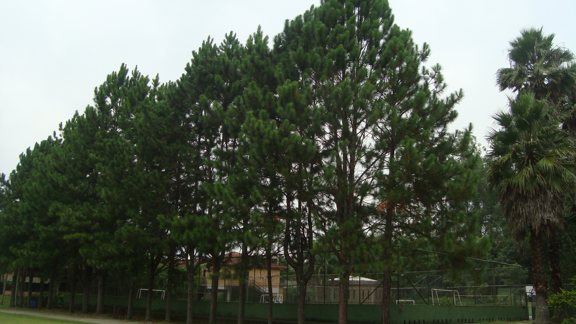 Espaço Recanto Tagaste