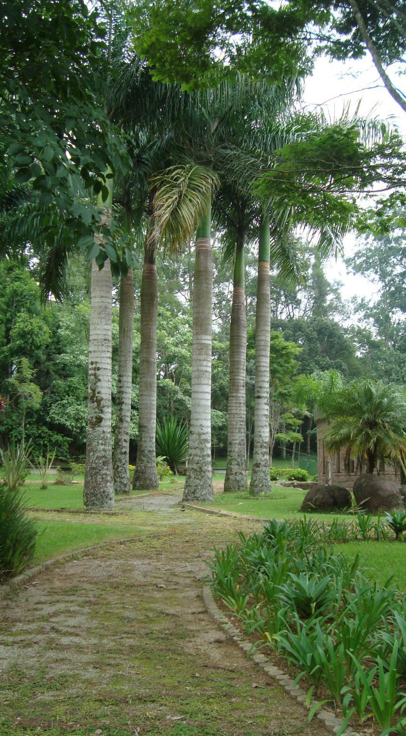 Espaço Recanto Tagaste