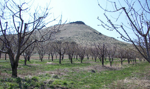FARMING | Volcanic Farms