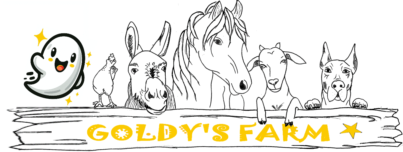 Goldy's Farm and Animal Sanctuary | equine therapy