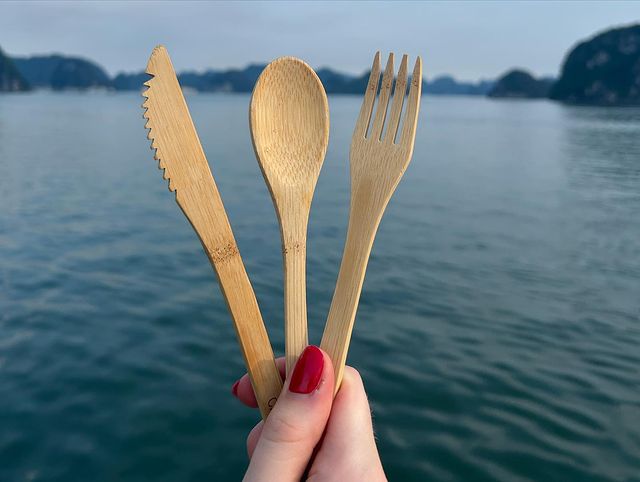 Global Bamboo Products Business in 2024: Oceans Republic Leading the ...