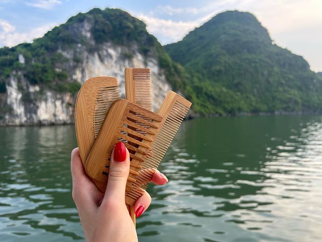 Global Bamboo Products Business in 2024: Oceans Republic Leading the ...
