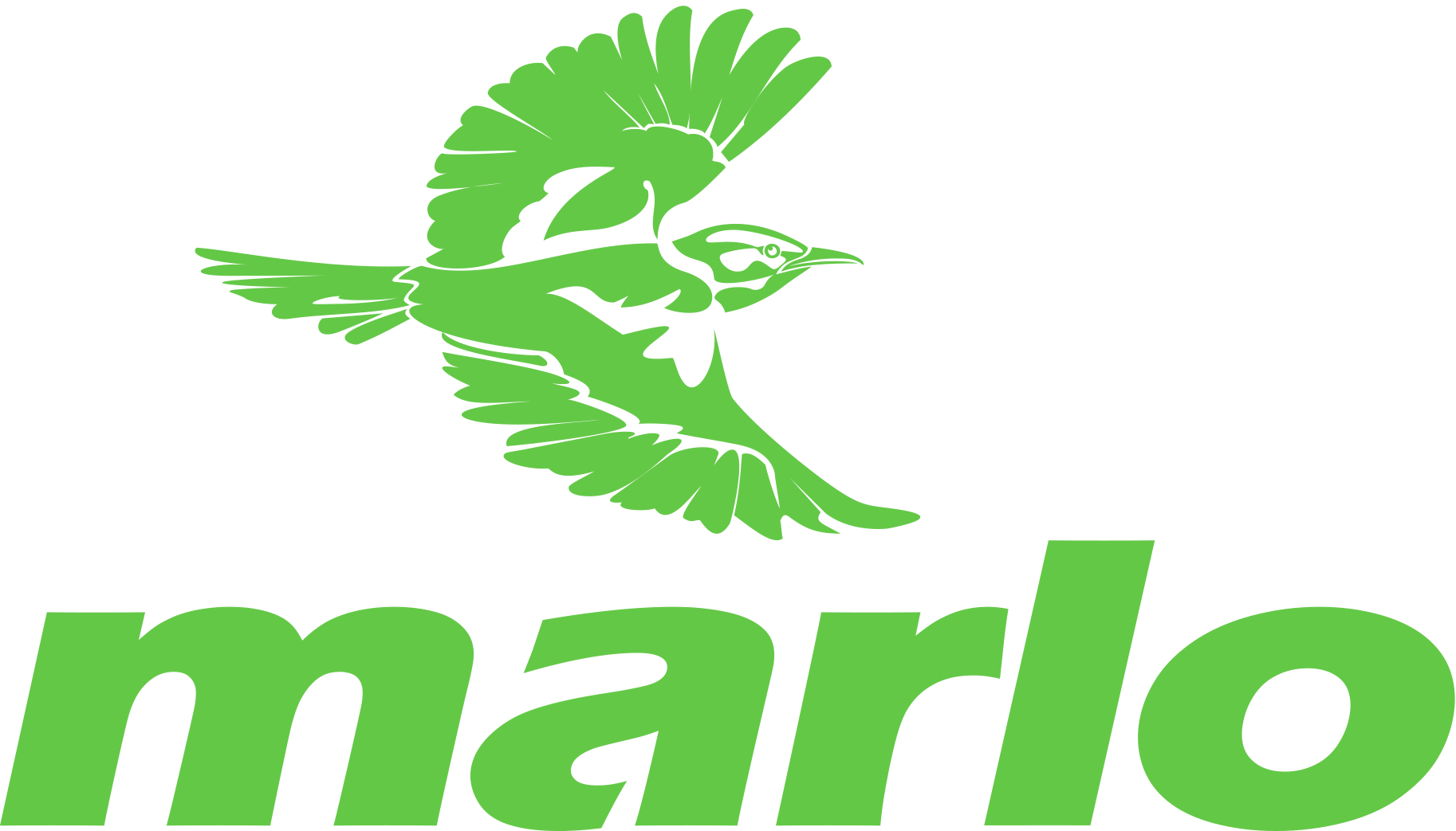 MARLO FARMS | Limpopo | Www.marlofarms.co.za