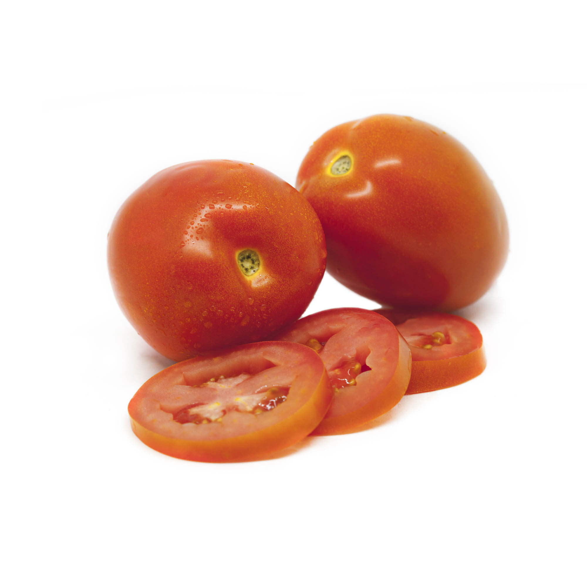 Tomato Seedlings | www.marlofarms.co.za