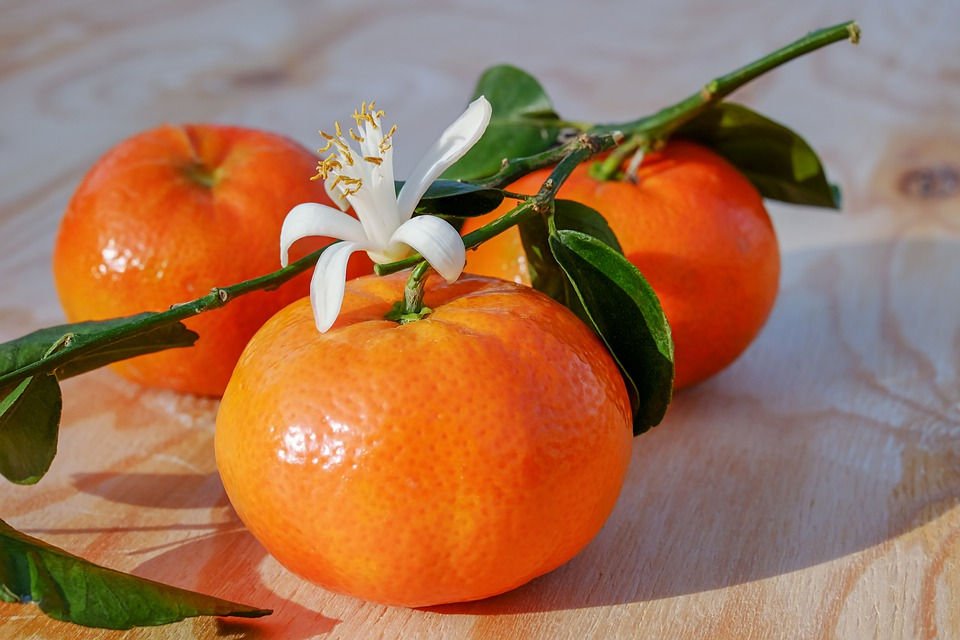 TANGERINAS, DELICIOSAS E SAUDÁVEIS