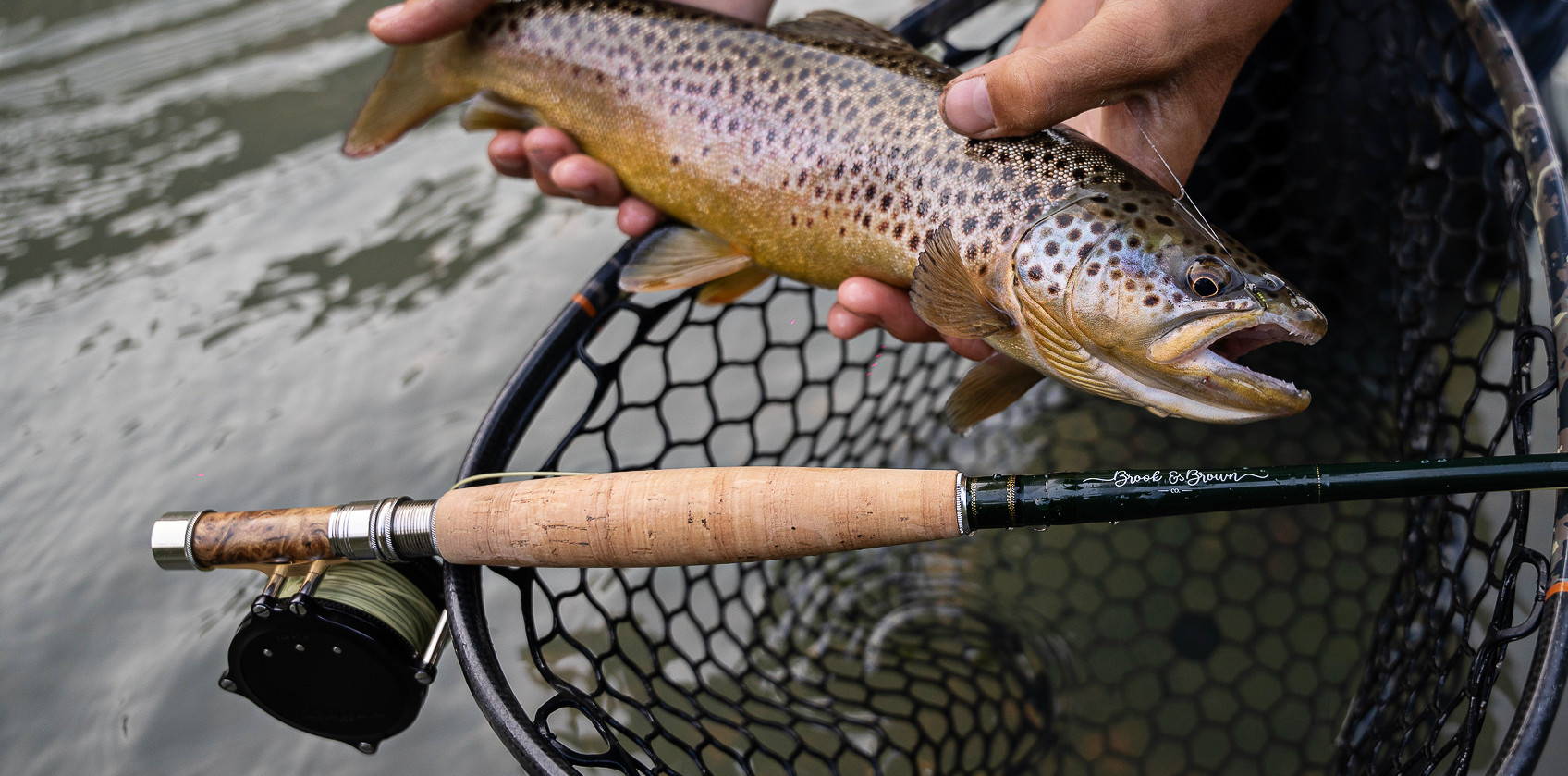 Brook & Brown Co. | graywolf rods