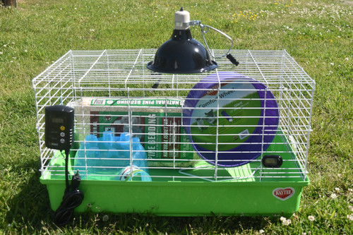 Complete 30"x18" Cage Kit with heat kit- PREORDER REQUIRED | home