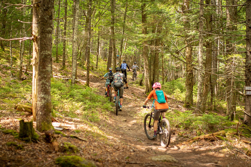 The Gore Trails | Mountain Biking Trails | 2001 Hwy 202, Kennetcook, NS ...